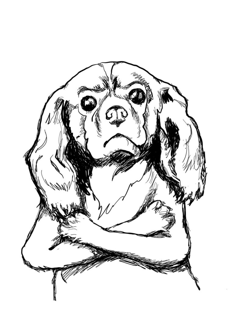 kaede_14 | パパゲーノ